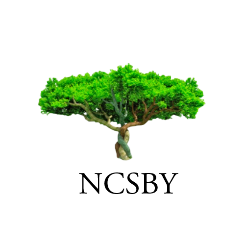 Partnership Boards | NCSBY